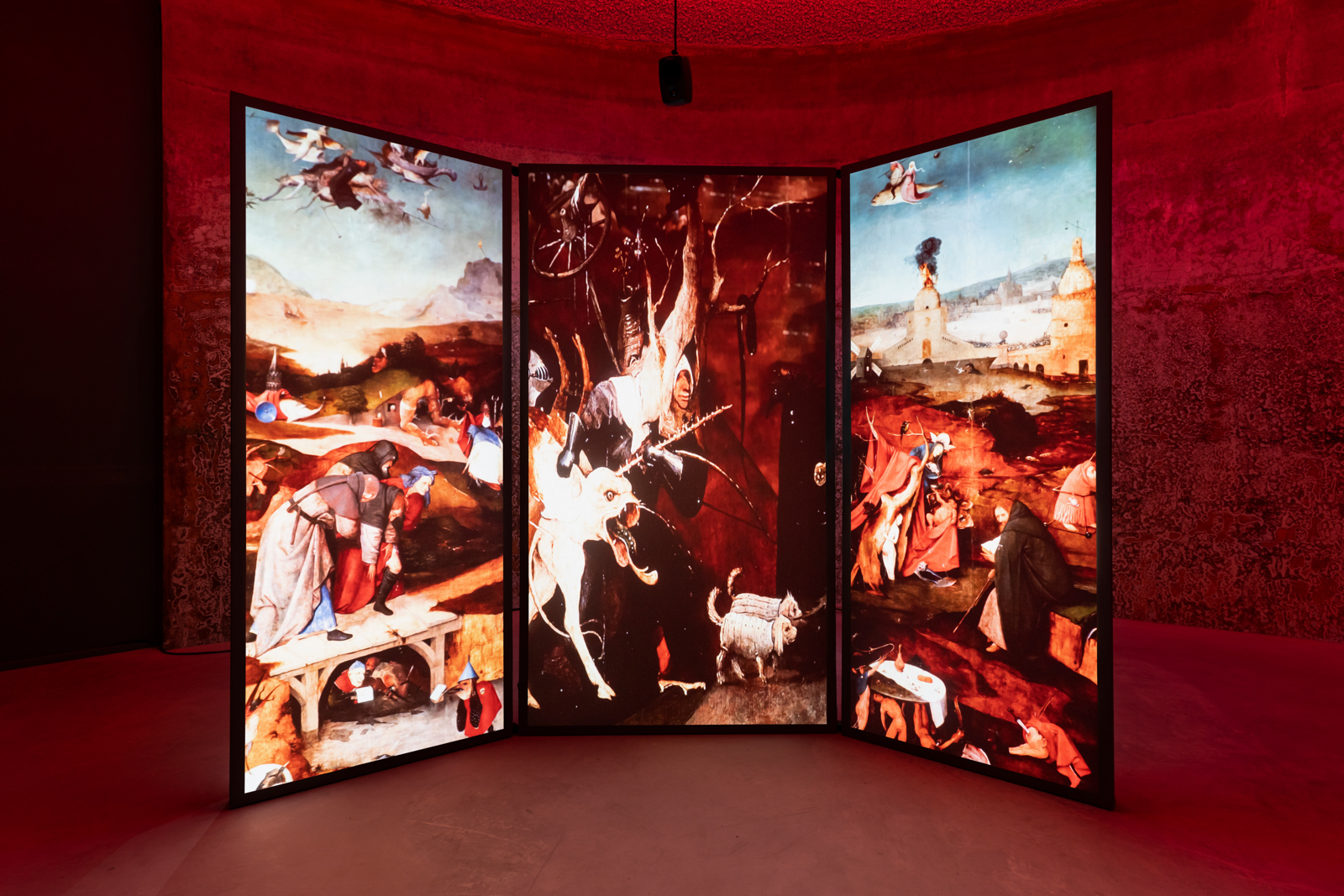 RADIUS CCA – DIANA POLICARPO: NETS OF HYPHAE