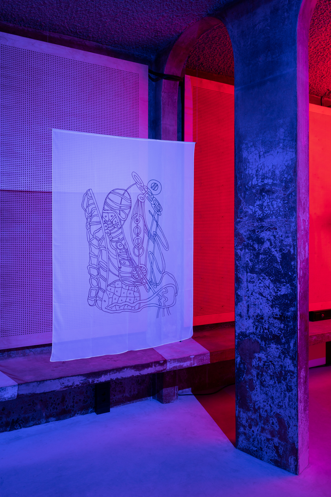 RADIUS CCA – DIANA POLICARPO: NETS OF HYPHAE